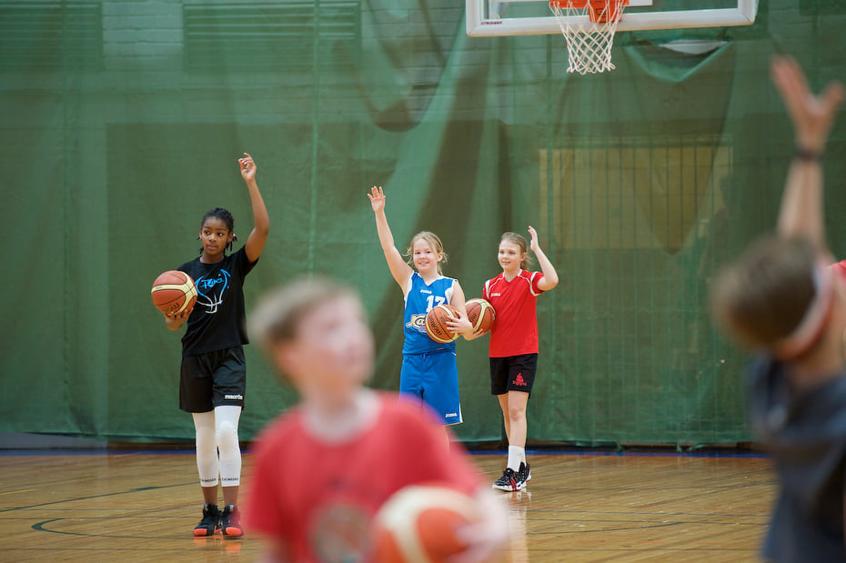 Galerii – T4G powered by Howard Frier